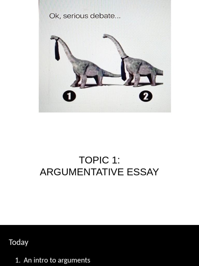 Argumentative Essay, Intro | PDF