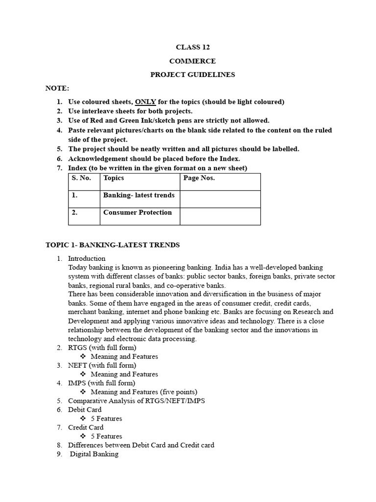 Project Guidelines | PDF