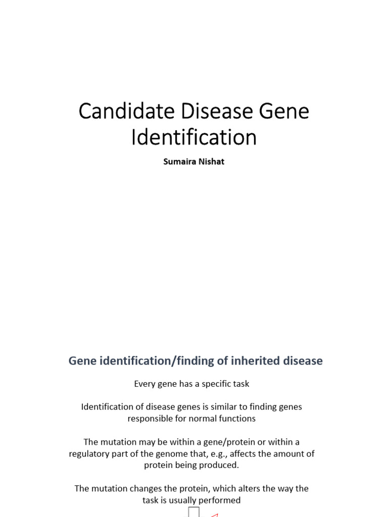 17 Candidate Disease Gene Identification Pdf