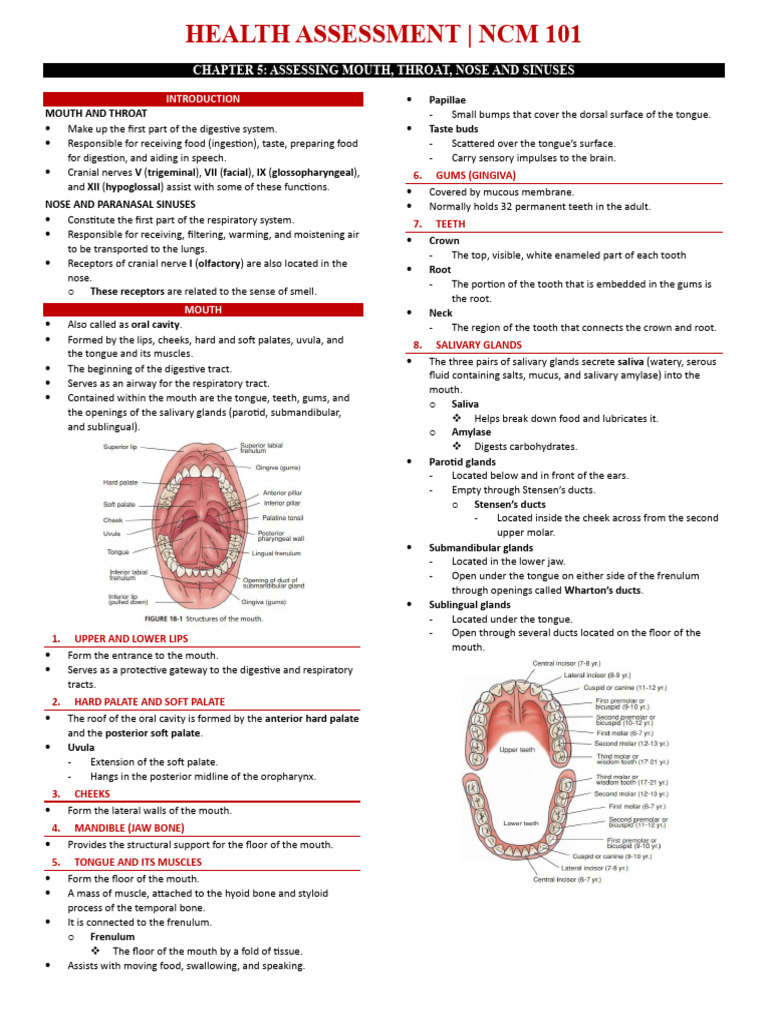 Assessing Mouth, Throat, Nose and Sinuses | PDF