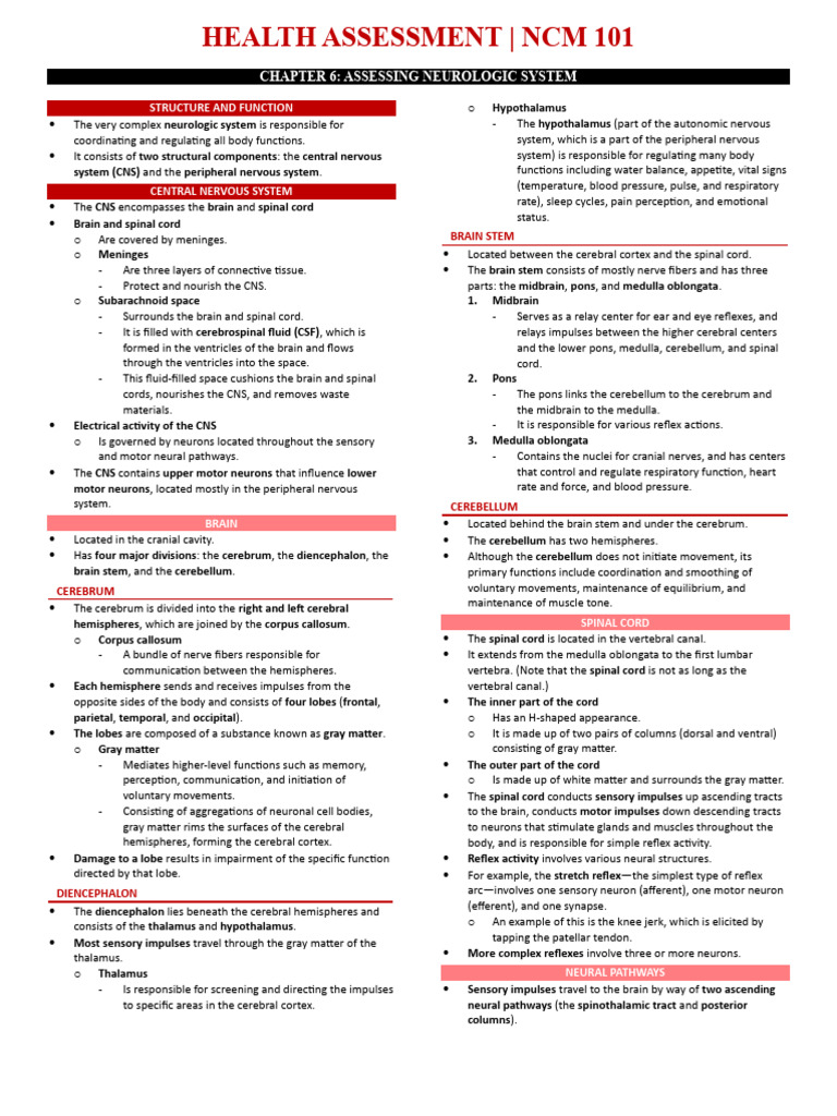 Assessing Neurologic System | PDF
