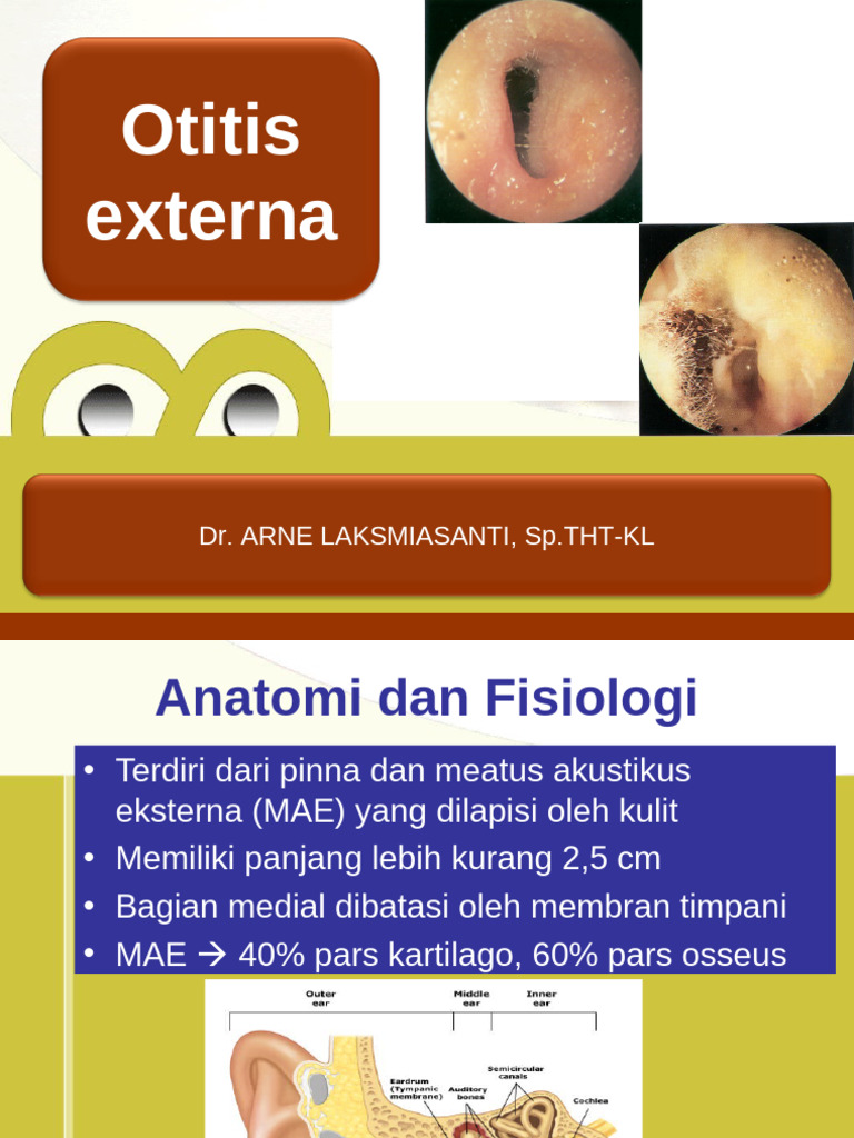 Dr. Arne - Otitis Eksterna | PDF