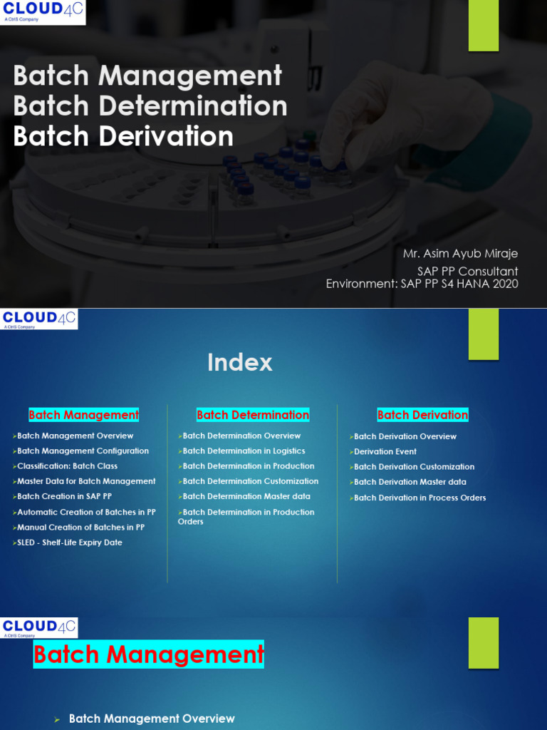 SAP PP Batch Management Guide | PDF | Logistics | Inventory