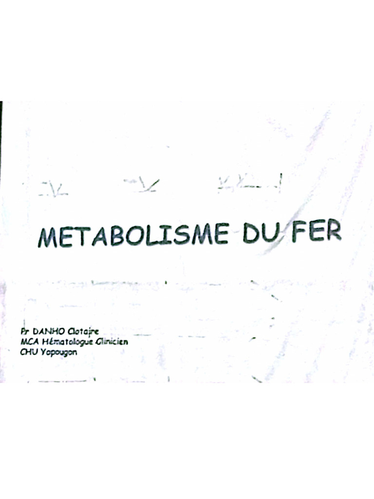 Metabolisme Du Fer. l3 2020.Abj | PDF