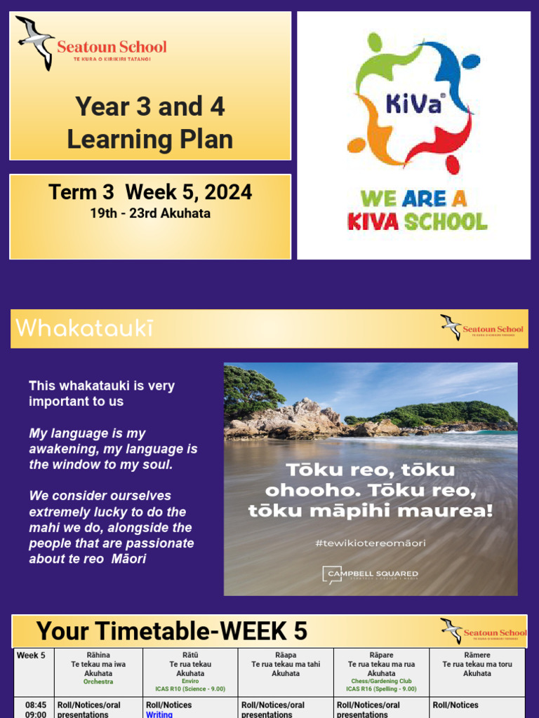 Week 5 Term 3 2024 Year 3 - 4 Learning Programme | PDF