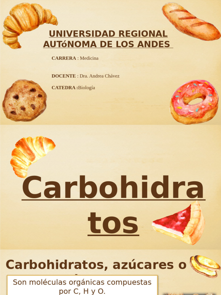 Carbohidratos | PDF
