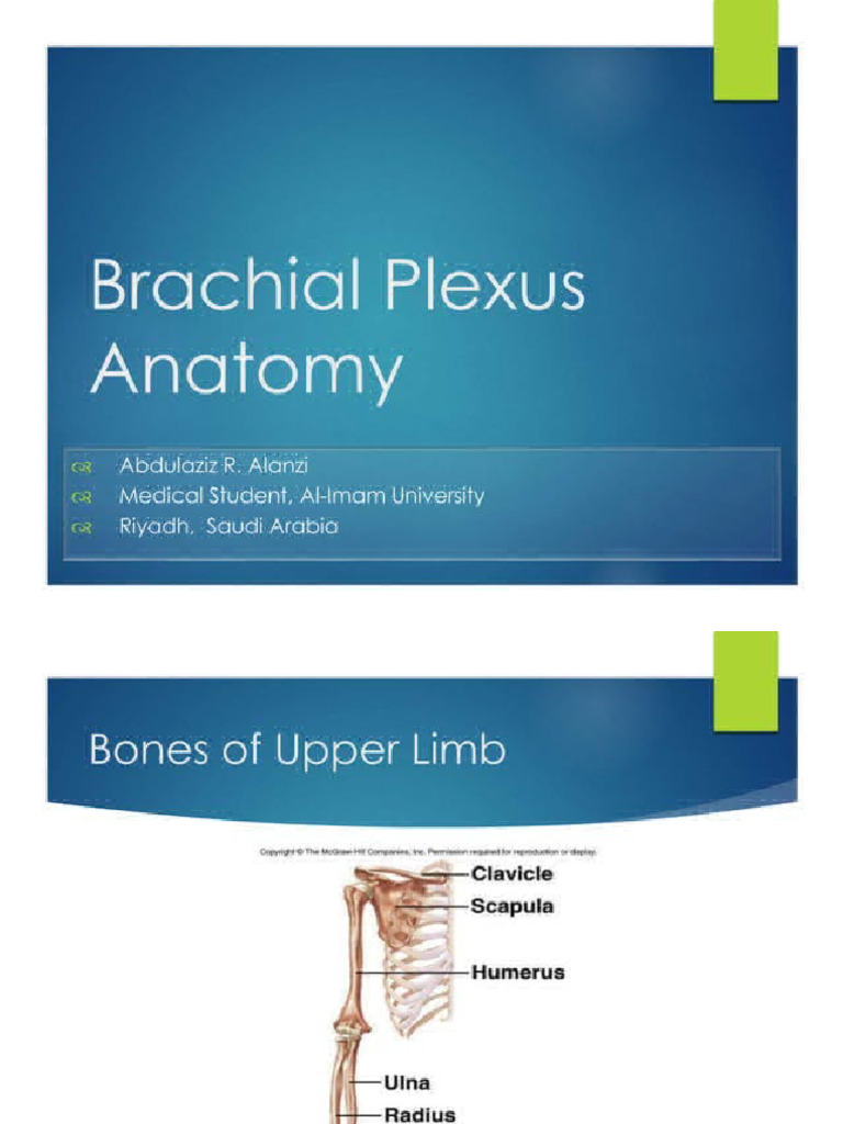 brachial-plexus-anatomy-40428756 | PDF