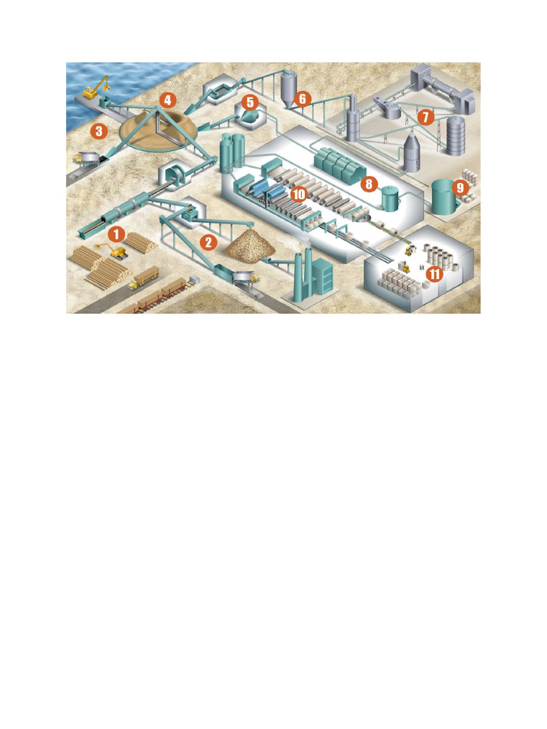 Pulp and Paper Process | PDF