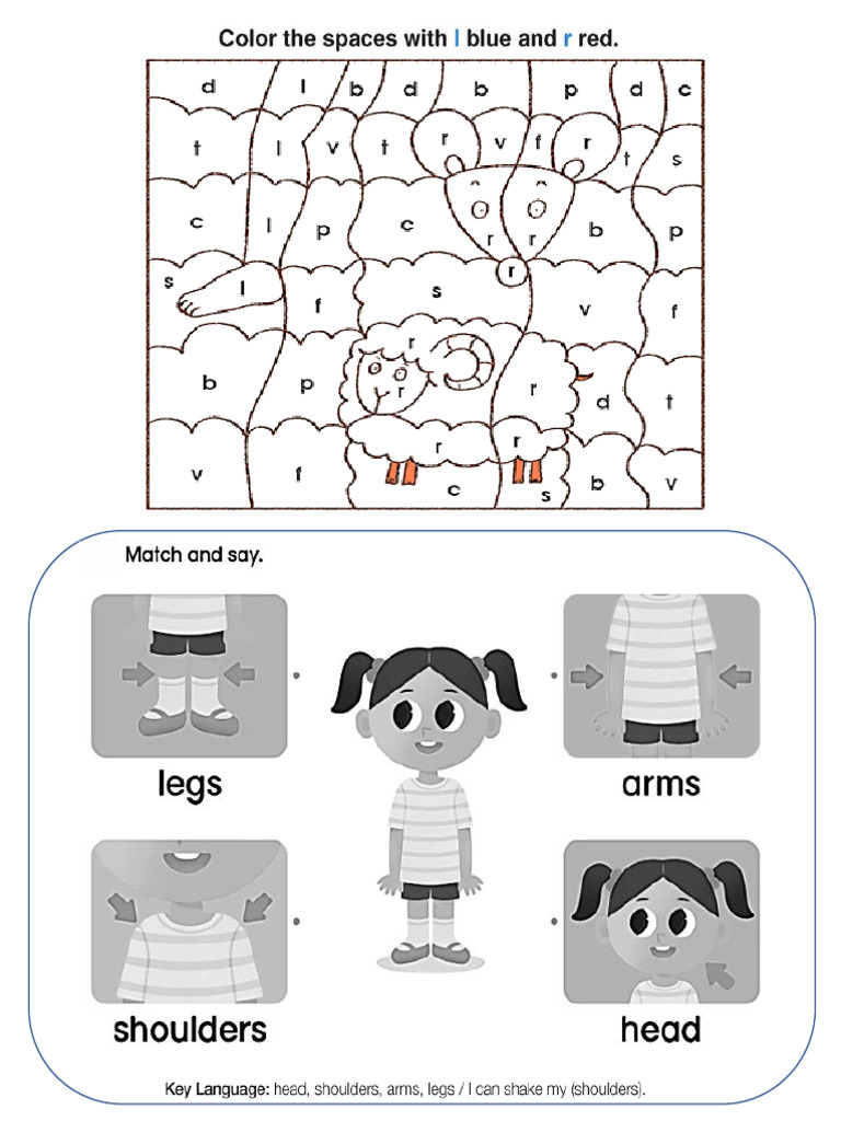 Star 2 - Lesson 5 - Worksheet | PDF