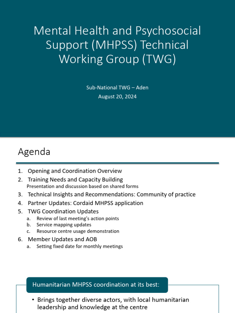 MHPSS TWG - Subnational Aden August 20, 2024 | PDF