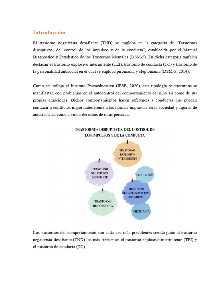 1 - Introducción TND | PDF