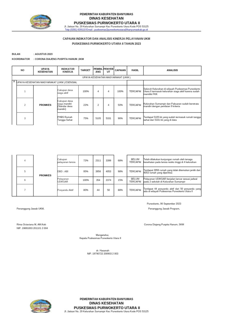 (Promkes) Target Capaian 2023 Per Bulan Analisis | PDF