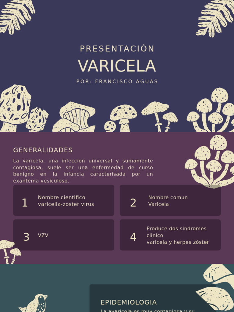 Varicela | PDF