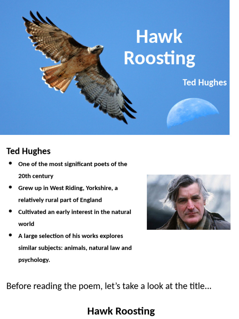 Hawk Roosting (S Ver) | PDF