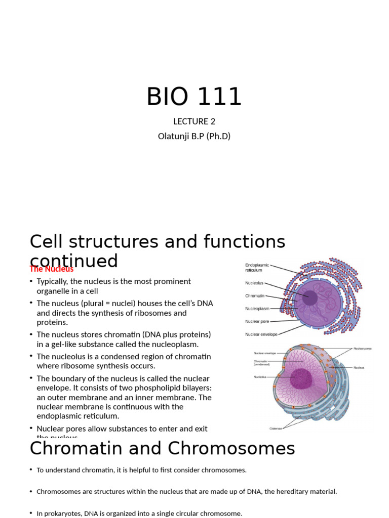 Bio 111-Bpo 2 | PDF