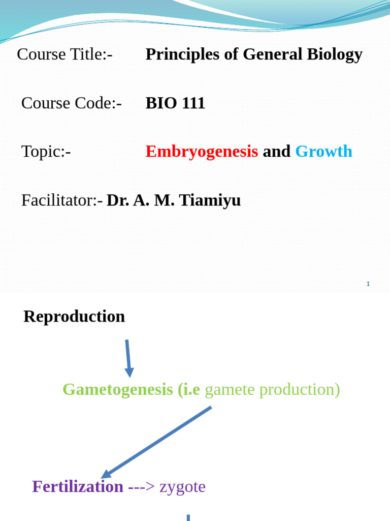 BIO 111-Embryogenesis and Growth - 104023 | PDF