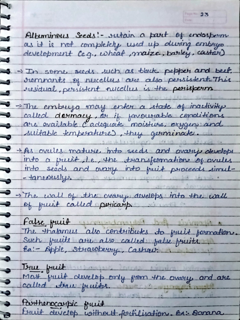 Albuminous seed | PDF
