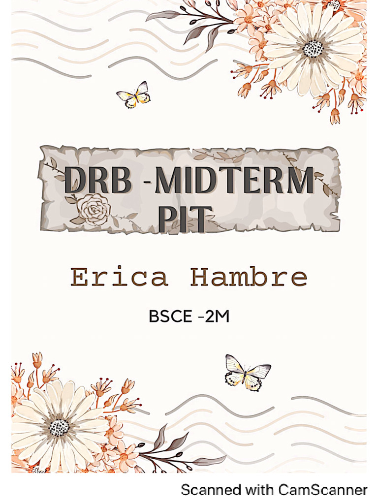 DRB PIt | PDF