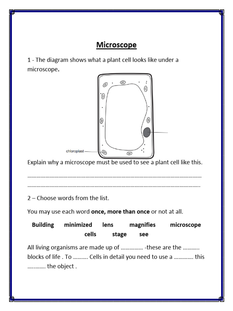 Microscope Worksheet | PDF