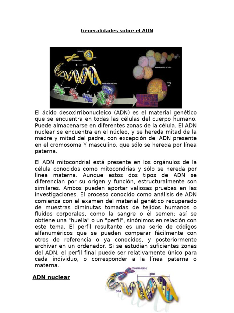 Generalidades sobre el ADN | PDF