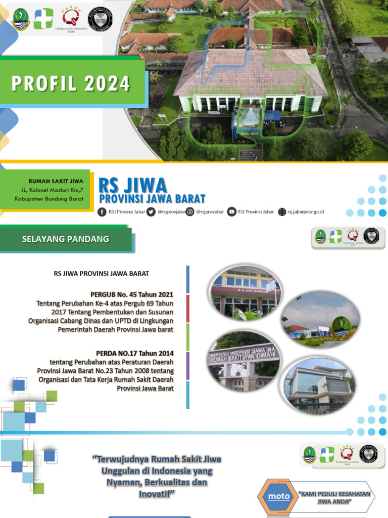Profil RSJ 2024 | PDF