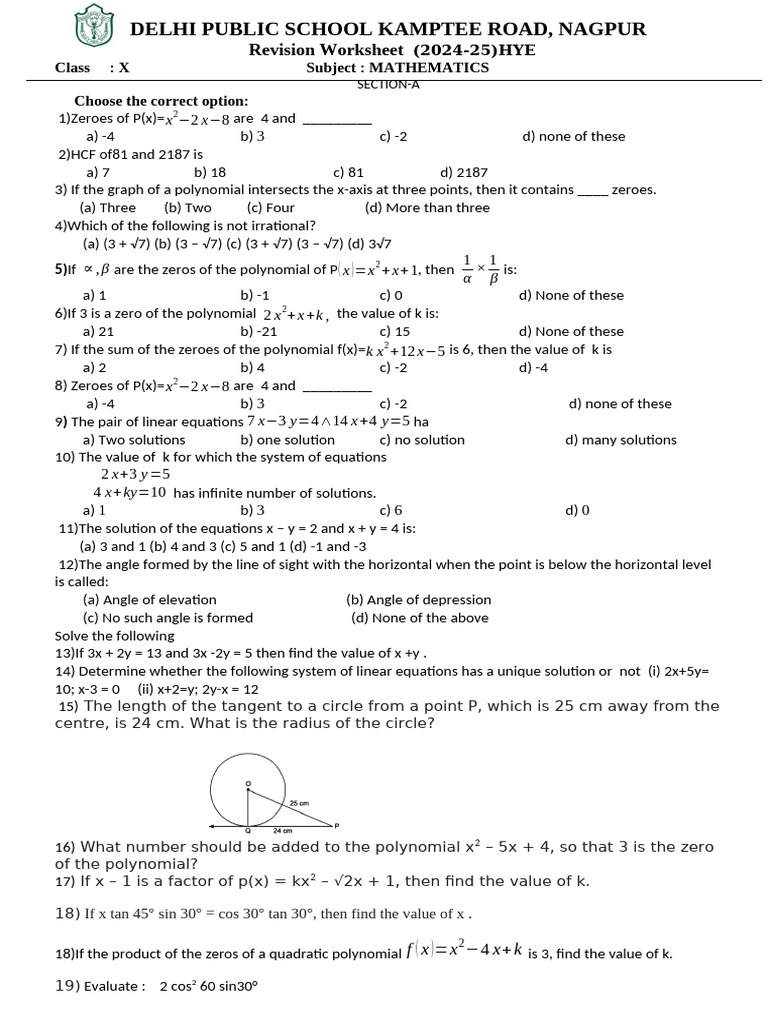 Dps Revision Worksheet HYA Class X 24-25 | PDF