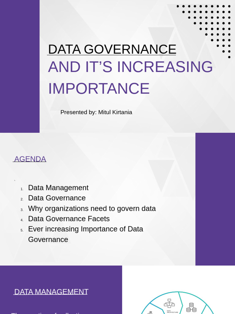 Data Governance & IT's Increasing Importance | PDF
