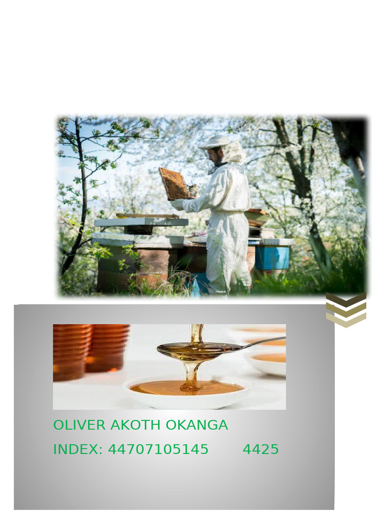 Nekta Management System | PDF