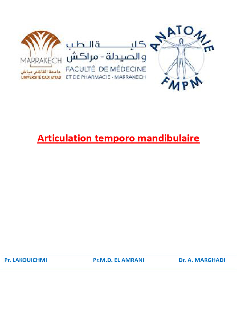 Articulation Temporo Mandibulaire | PDF