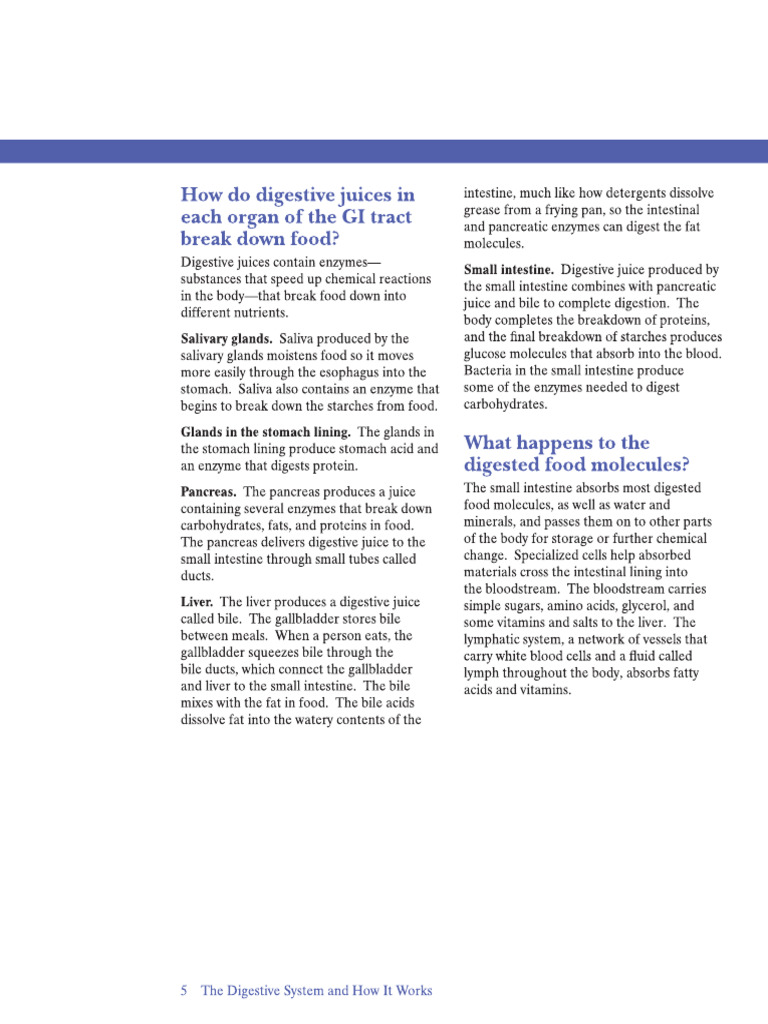 Digestive System 5 | PDF