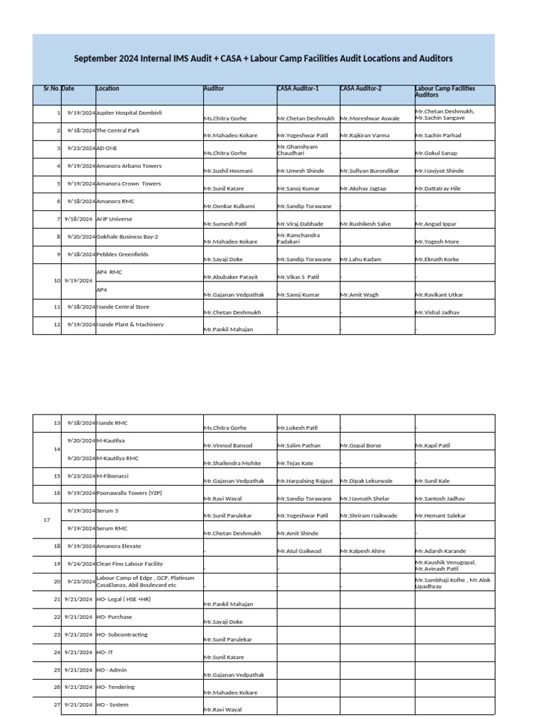 Int Audit Plan Sept 2024 | PDF