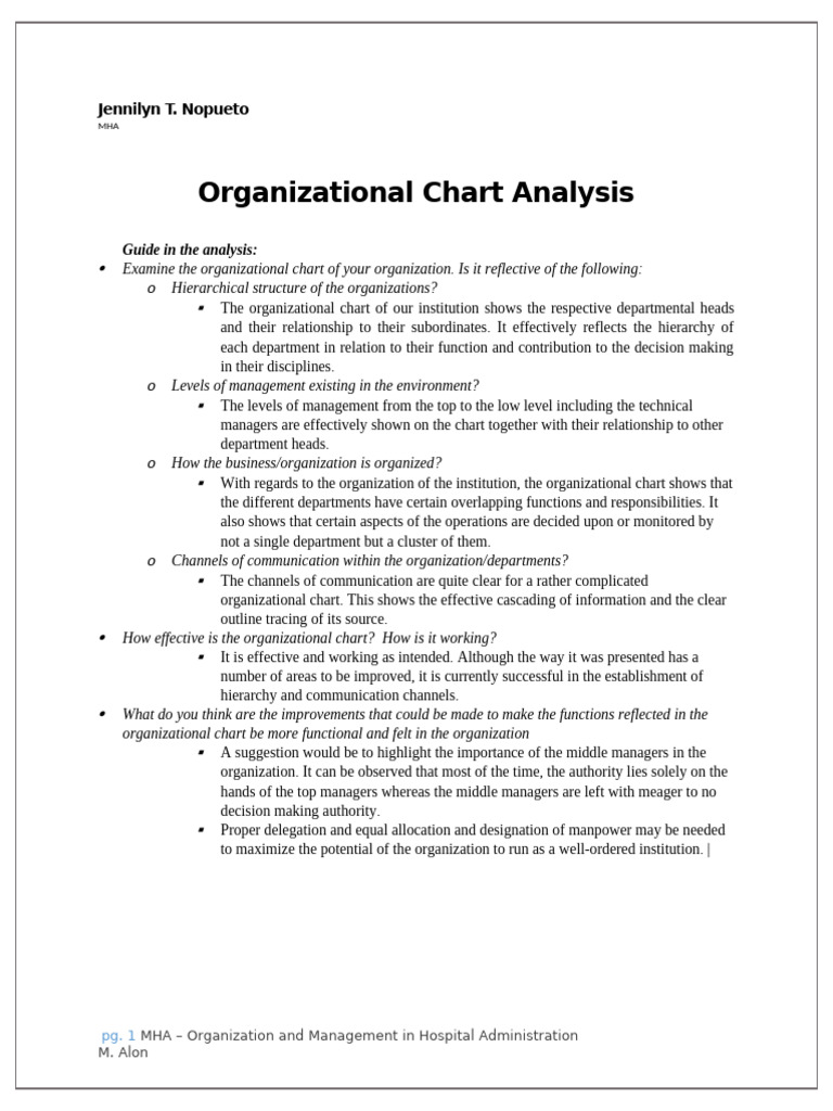 Organizational Chart Analysis | PDF