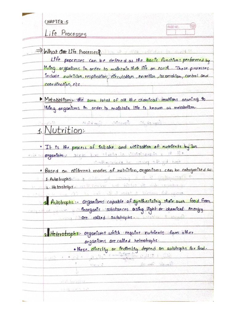Nutrition_notes (1) | PDF