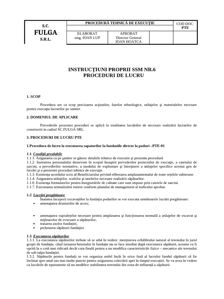 6.proceduri de Lucru | PDF