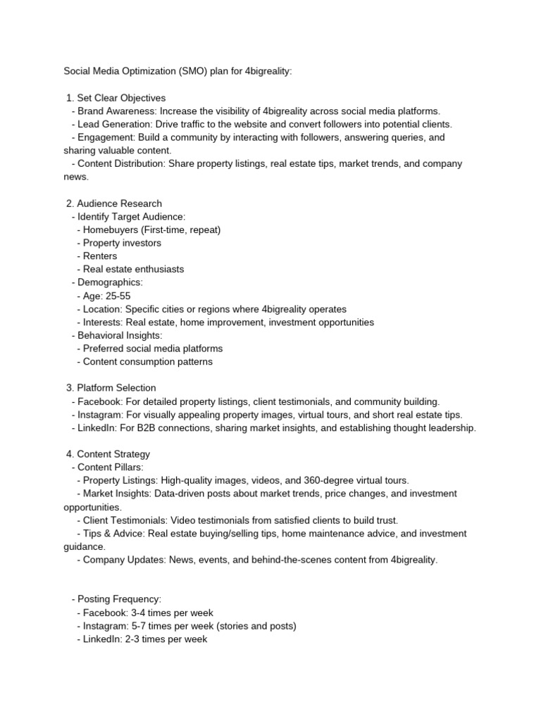 SMO Plan for 4bigreality | PDF