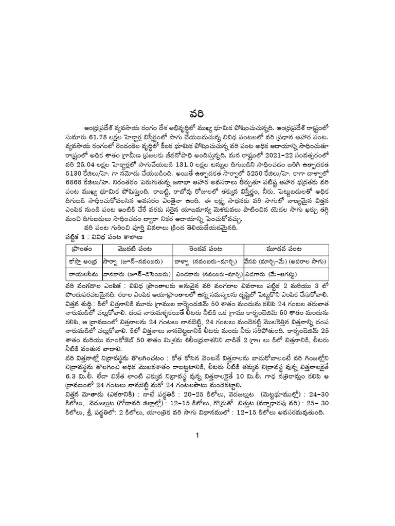 Rice | PDF