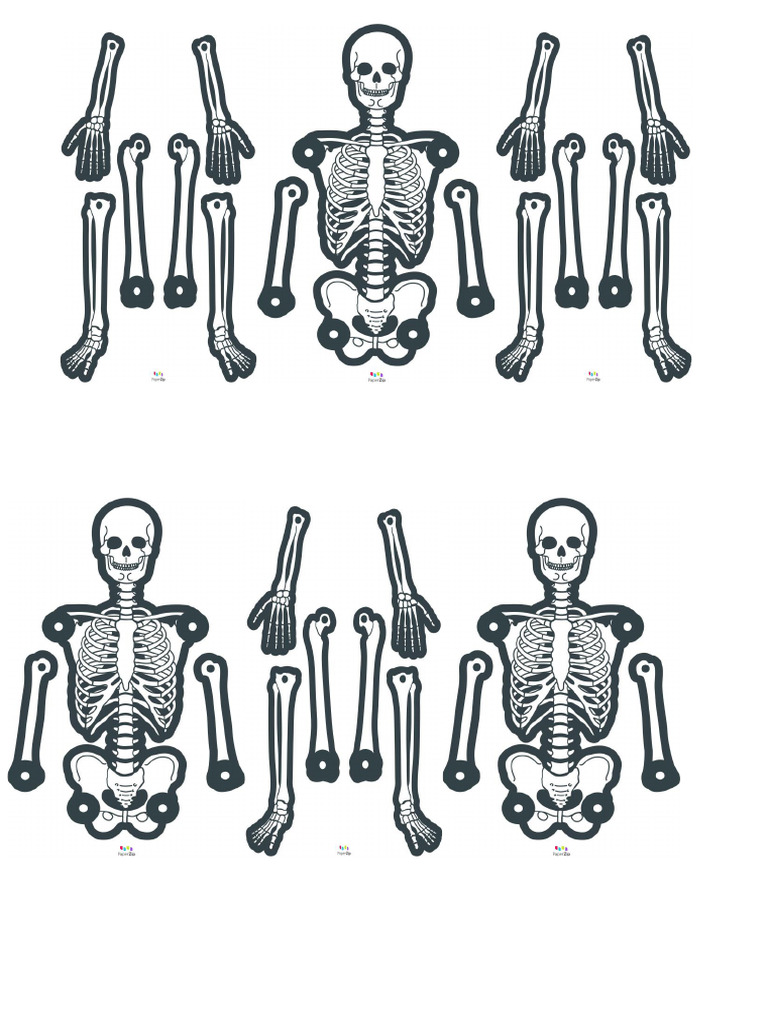 skeleton-templates (1)bb | PDF