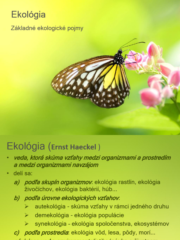 Ekologické Pojmy | PDF