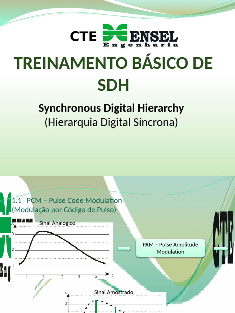 Aula 1 - Treinamento Básico de SDH | PDF