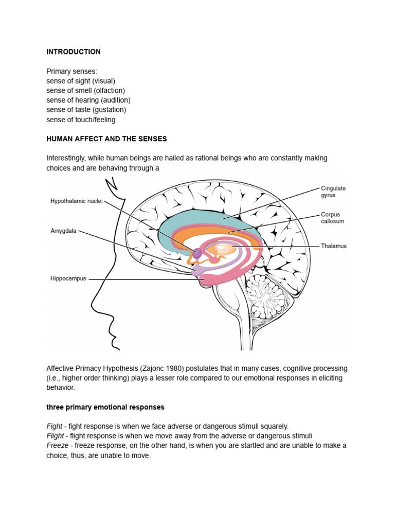 Sex And Senses Pdf
