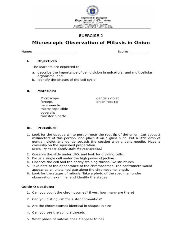 Lab2 Mitosis | PDF