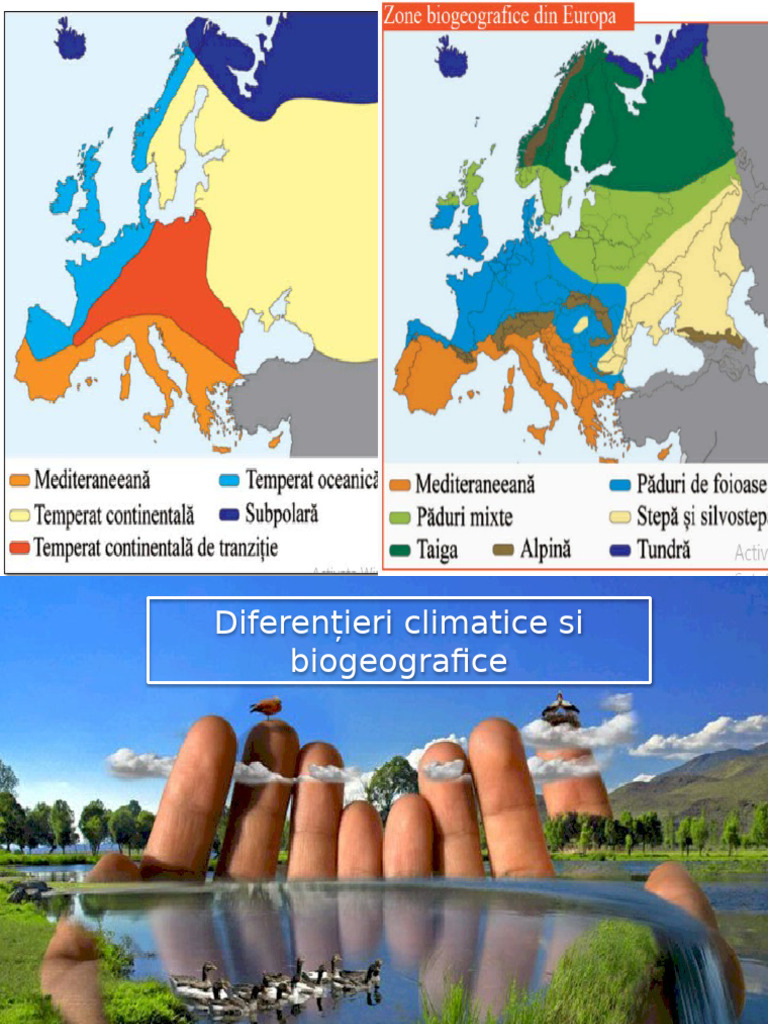 Diferentieri Climatice Si Biogeografice | PDF