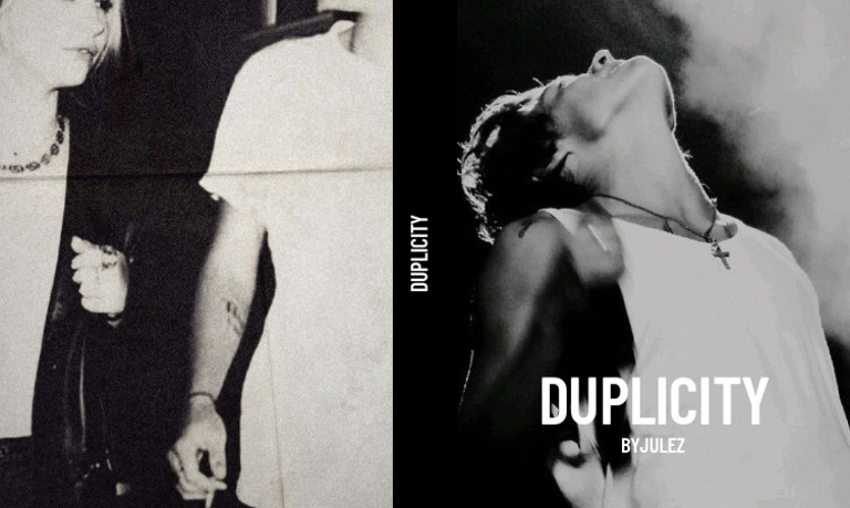 Duplicity Book Cover | PDF