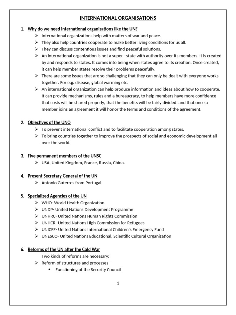 International Organisations | PDF