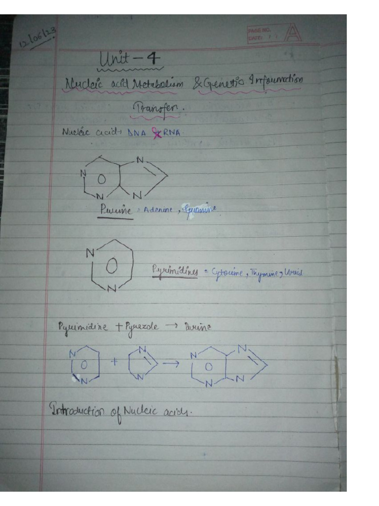 Biochemistry Unit 4 | PDF