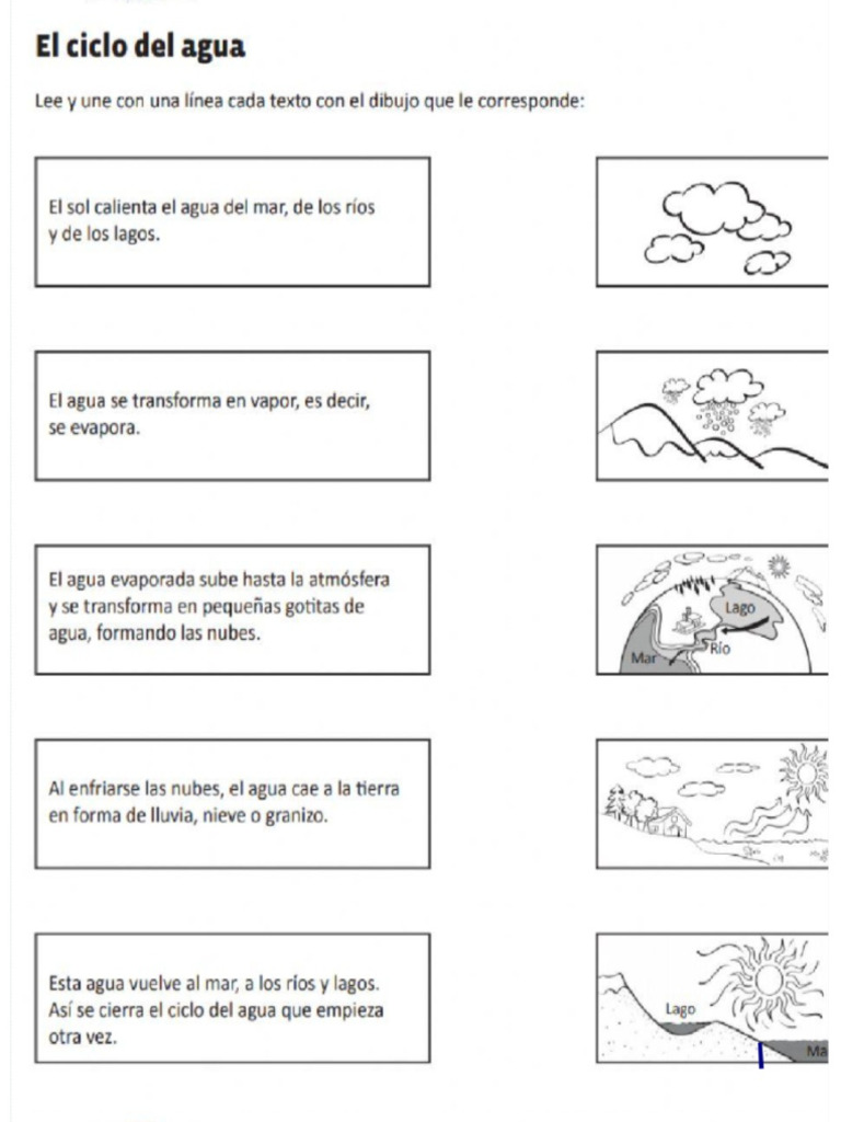 Evaluación Ciclo Del Agua | PDF