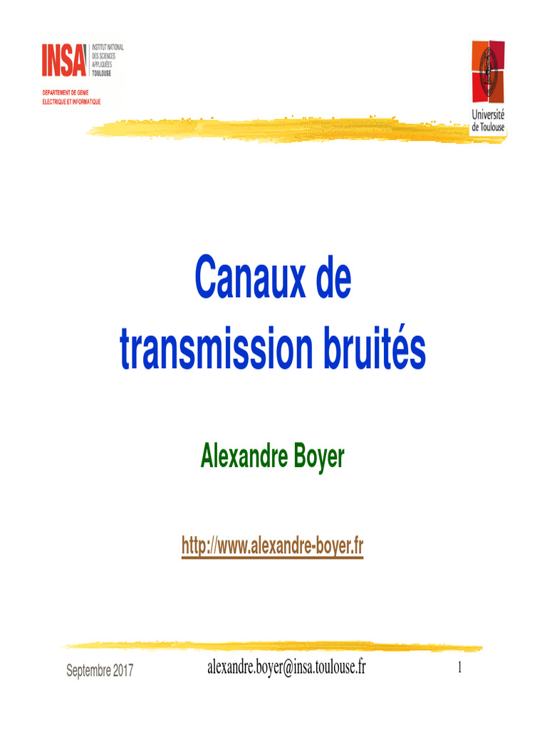 Canaux de Transmissions Bruites | PDF