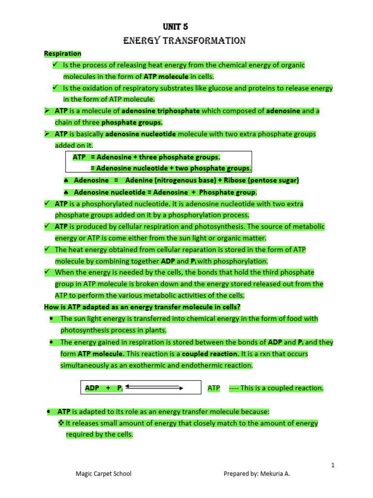 Unit 5 energy transformation | PDF