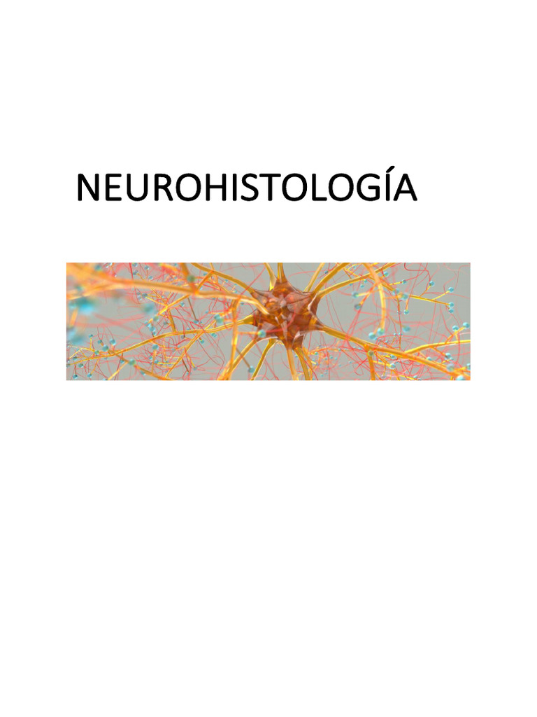 2 Neurohisto | PDF