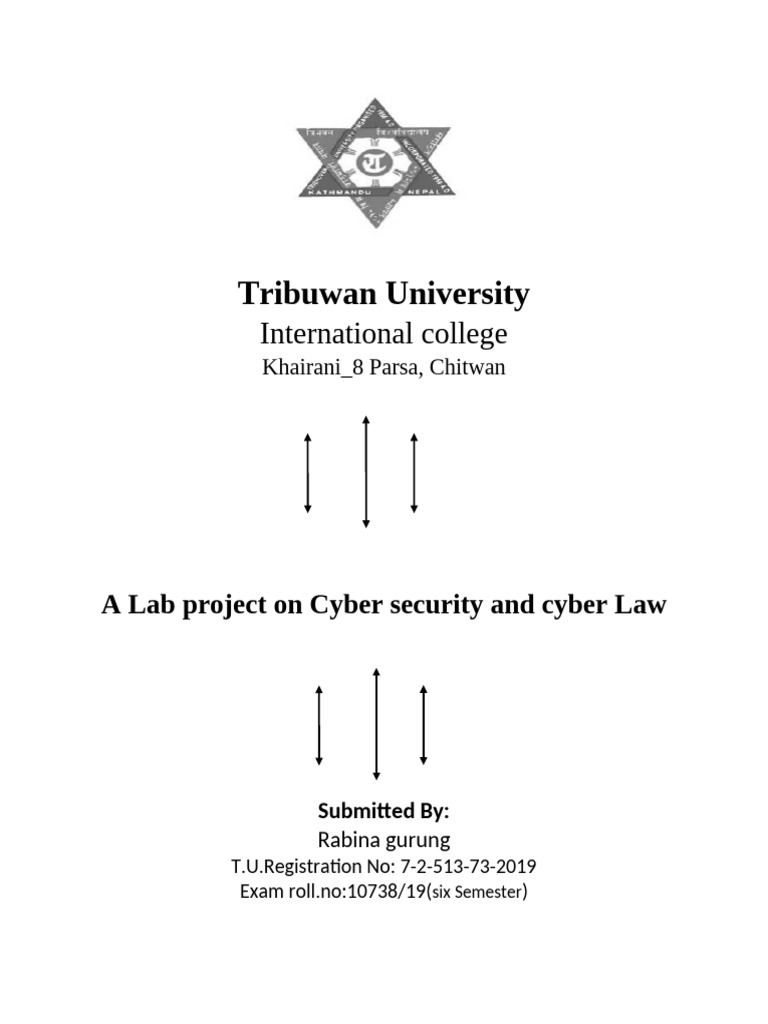 Cyber Secuirty | PDF